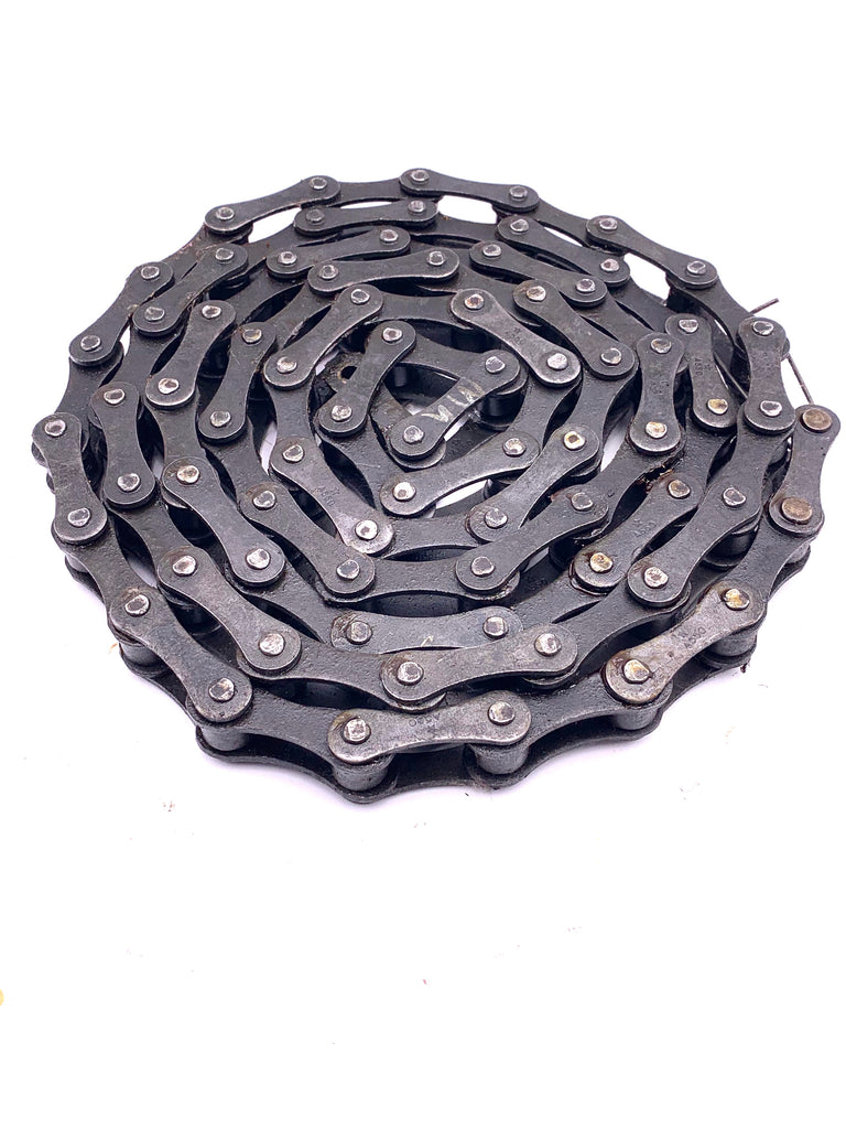 A555 Roller Chain USA Made 10' Coil - Farmchains.com